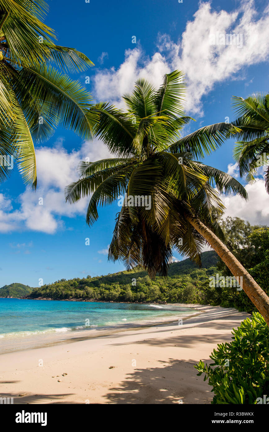 Police bay mahe seychelles hi-res stock photography and images - Alamy