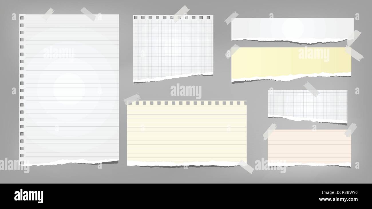 Colorful and white ripped notebook paper, torn note paper strips stuck ...