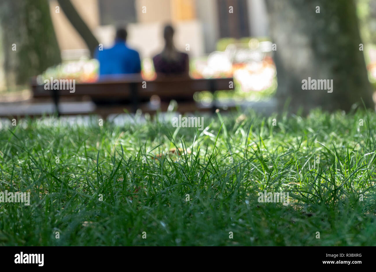 Man woman bench from behind hi-res stock photography and images - Alamy