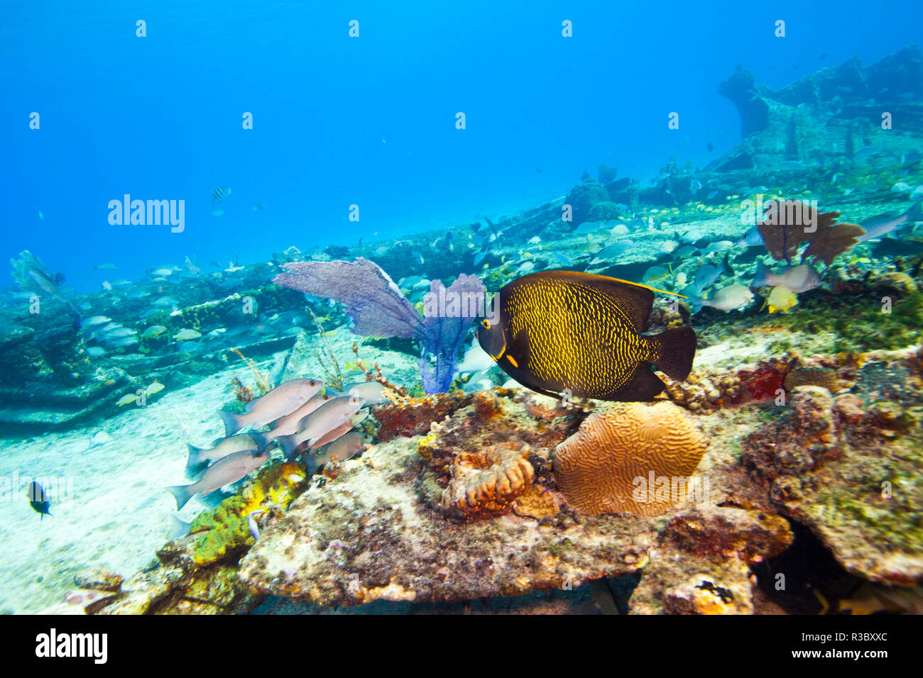 Sugar Wreck, Northern Bahamas, Caribbean Stock Photo - Alamy