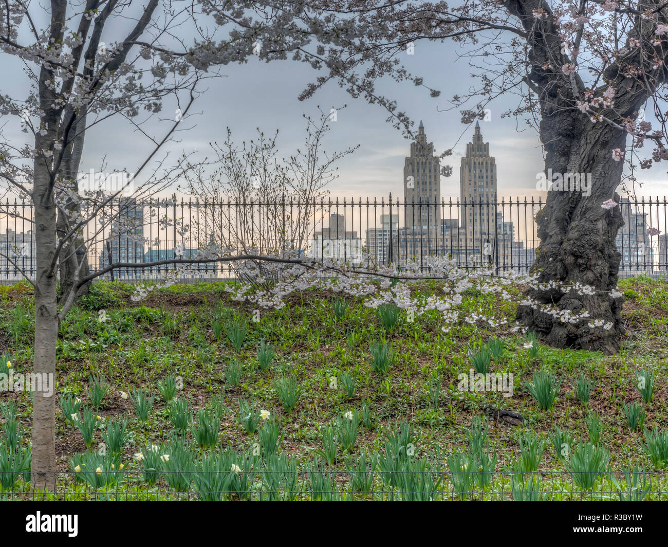 Central Park, Manhattan, New York City in spring Stock Photo - Alamy