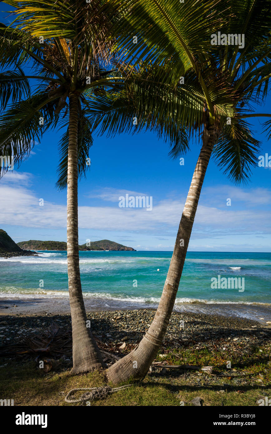 U.S. Virgin Islands, St. Thomas. View of Dorothea Bay Stock Photo - Alamy