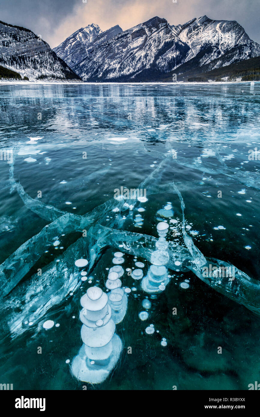 Canada, Alberta, Spray Valley Provincial Park. Frozen methane bubbles ...