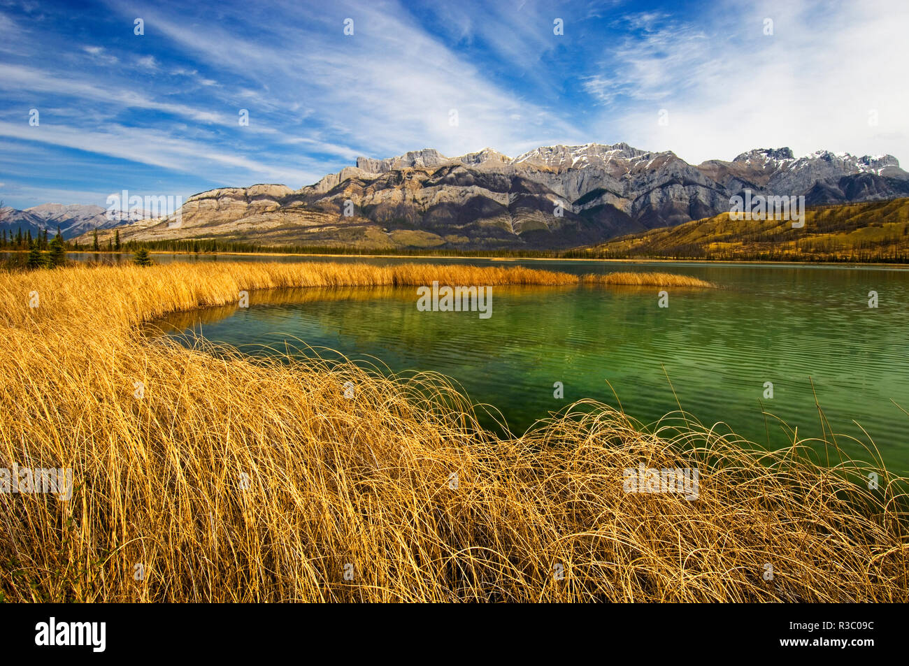 Canada, Alberta, Jasper National Park. Talbot Lake and Miette Range ...