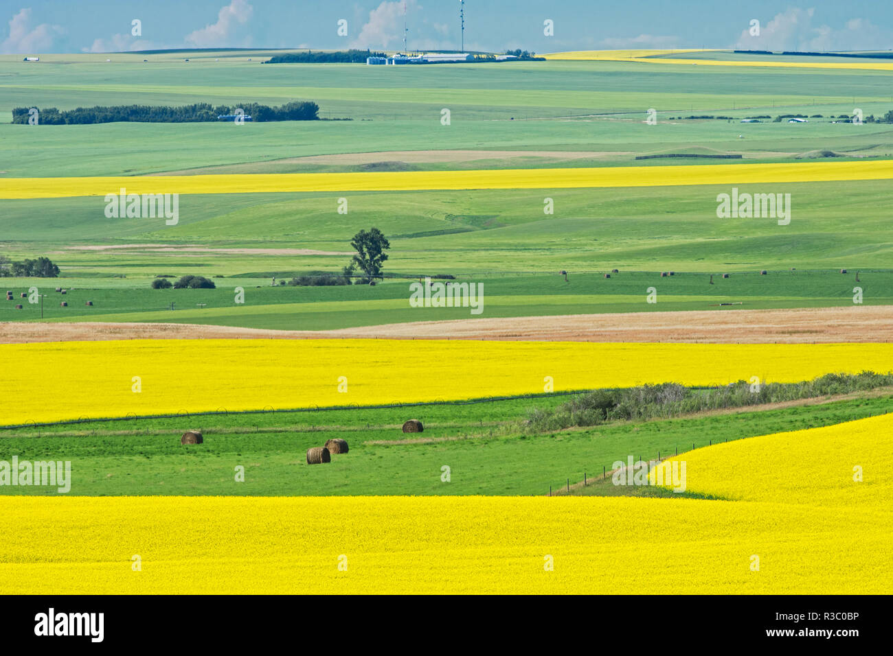 Alberta canada farm hi-res stock photography and images - Alamy