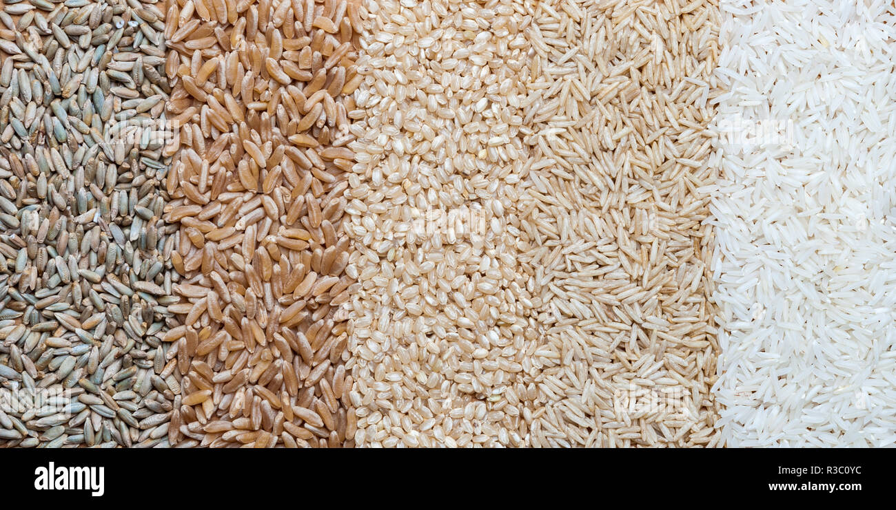 Organic rice, Mixed rice and texture for background Stock Photo - Alamy