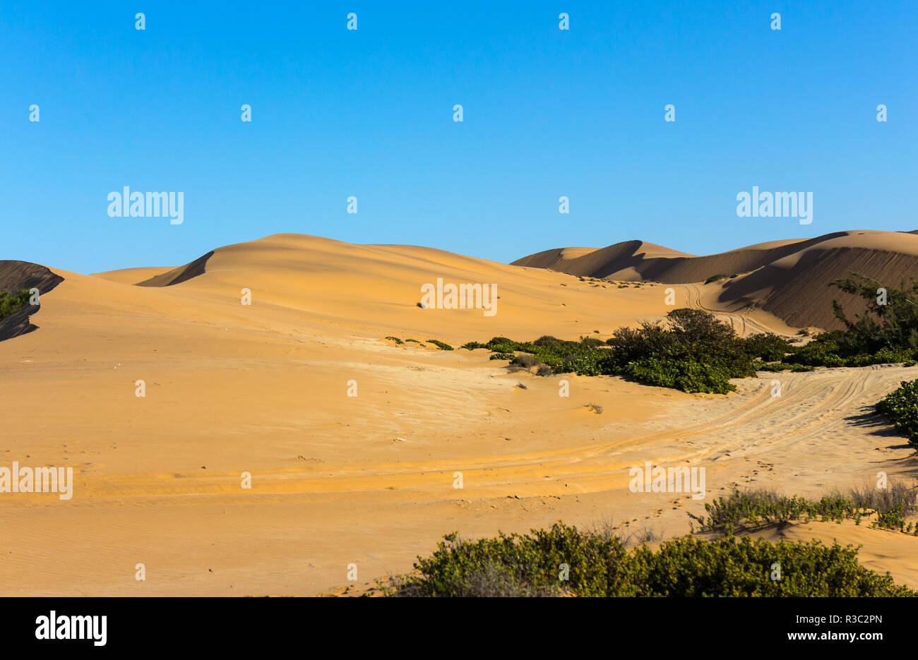 Sand dunes in the Namib desert, Namibia, wind swept after an overnight ...