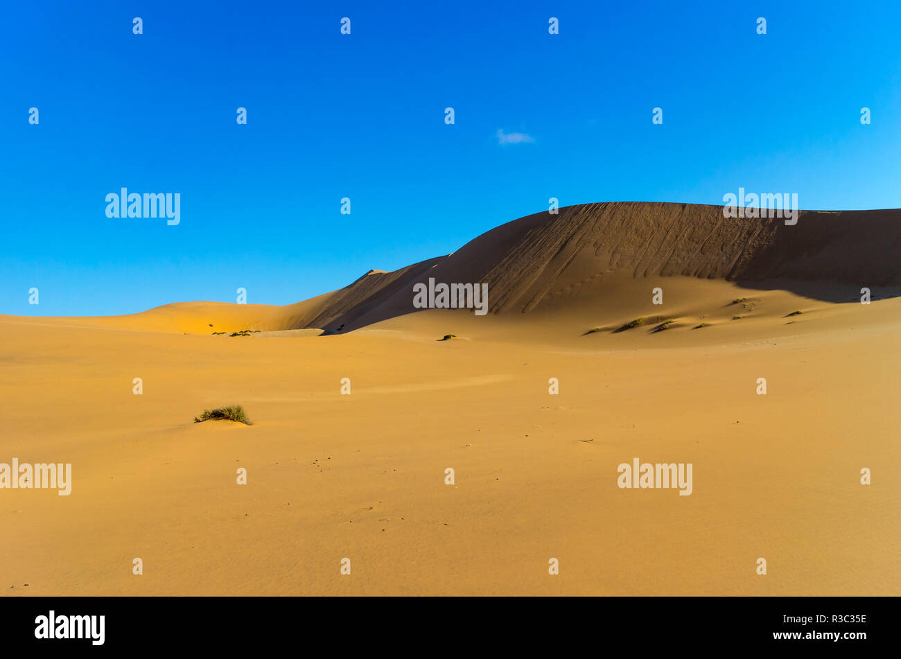 Sand dunes in the Namib desert, Namibia, wind swept after an overnight ...
