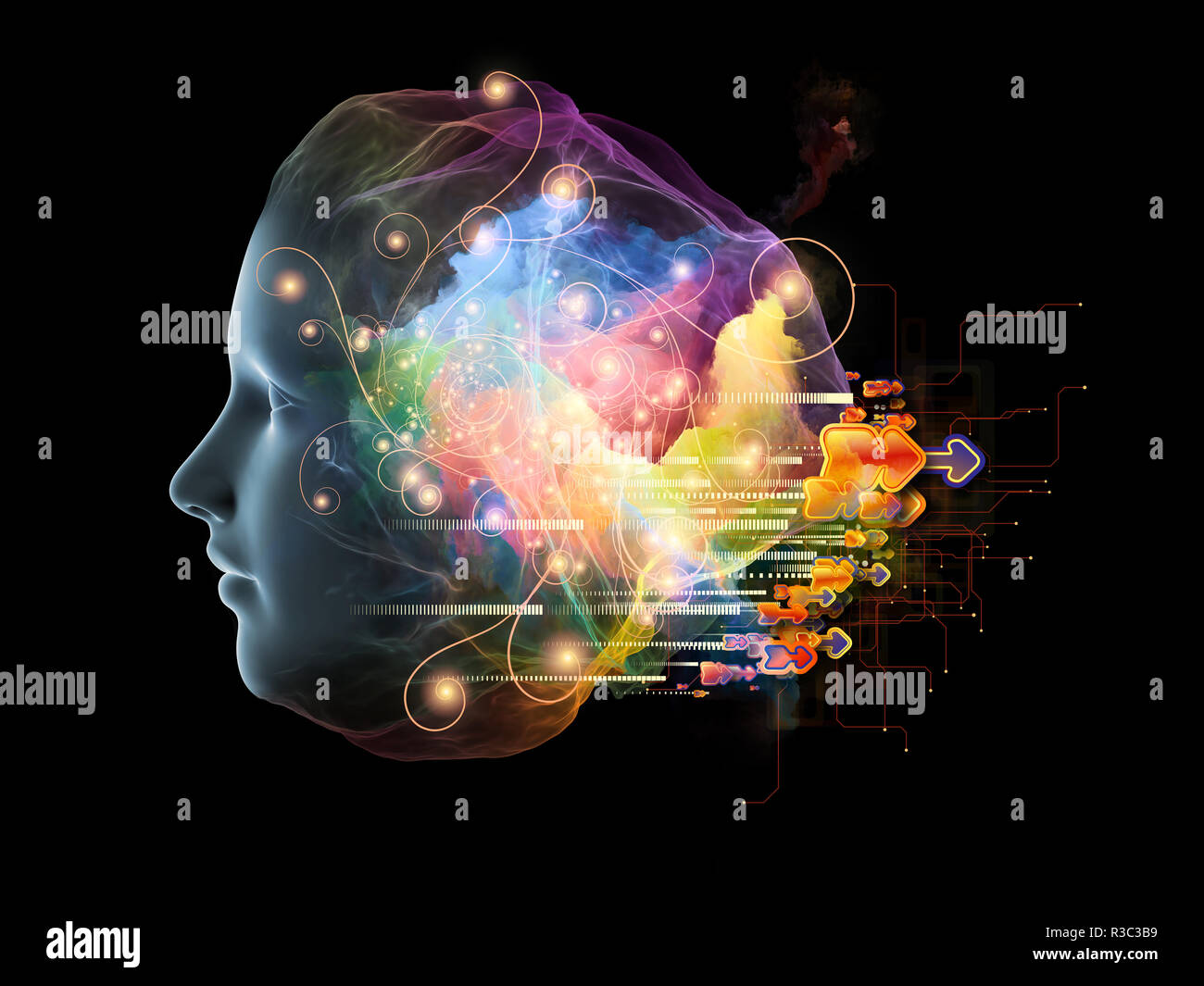 Detailed model human brain hi-res stock photography and images - Alamy