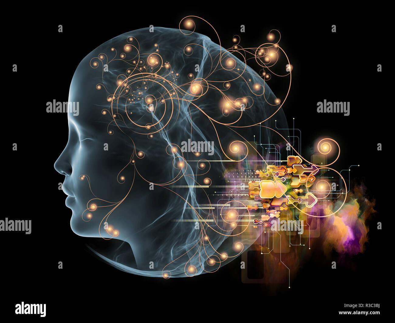 Detailed model human brain hi-res stock photography and images - Alamy