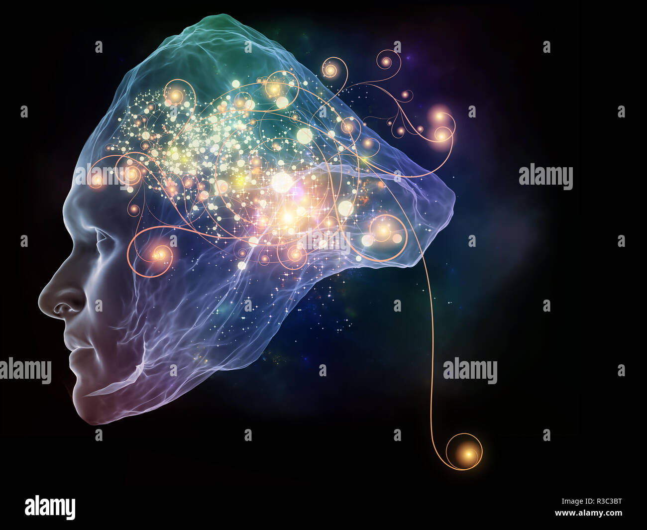 Detailed model human brain hi-res stock photography and images - Alamy