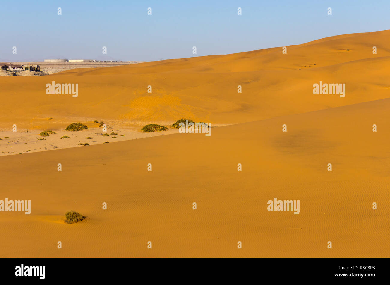Sand dunes in the Namib desert, Namibia, wind swept after an overnight ...