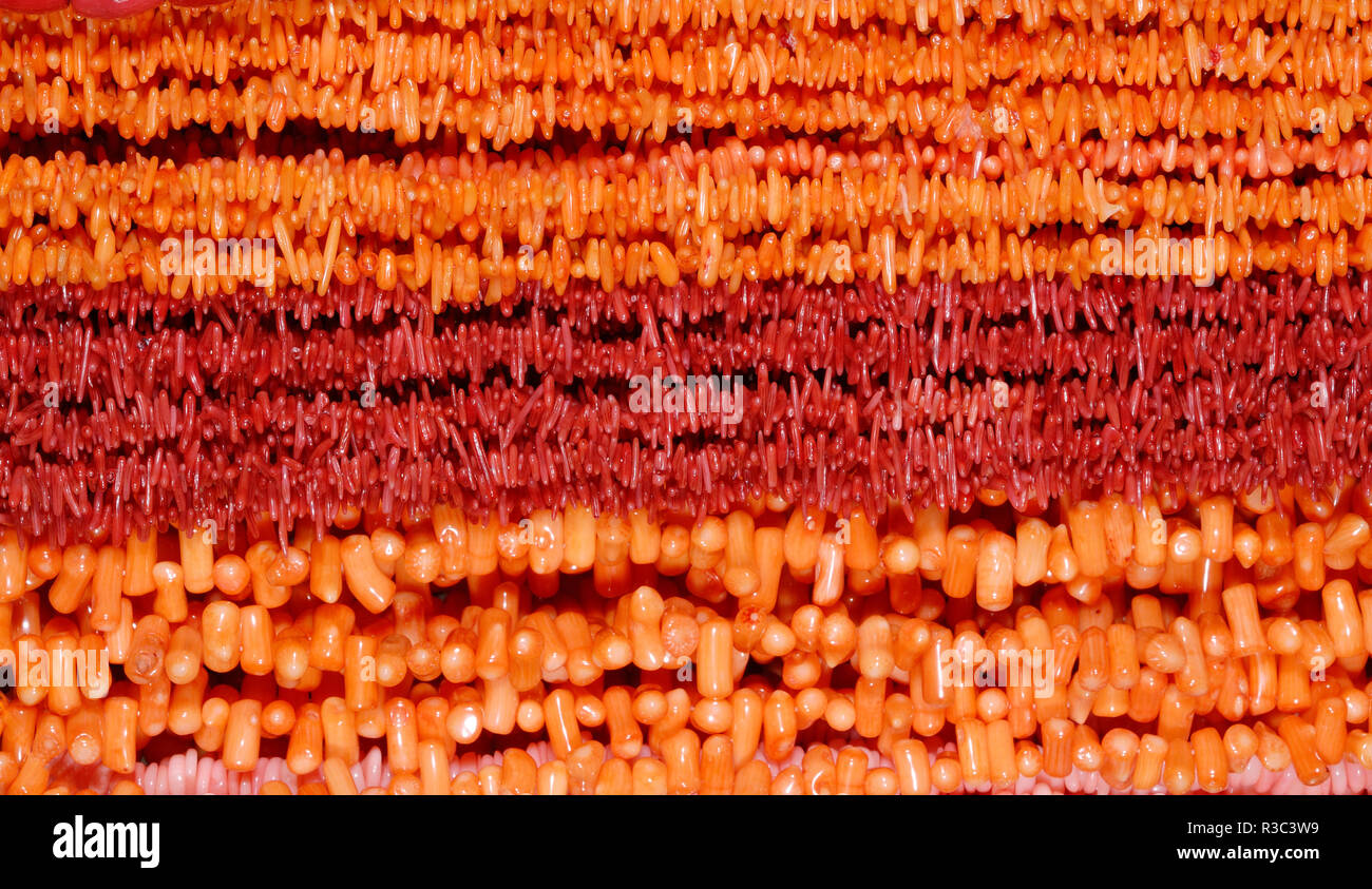 Texture, natural pink and red coral Stock Photo - Alamy