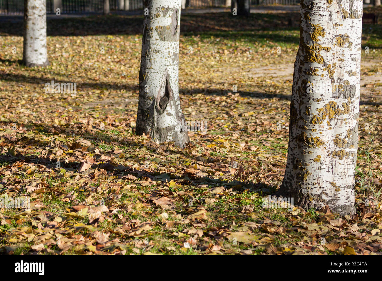City of getafe hi-res stock photography and images - Alamy