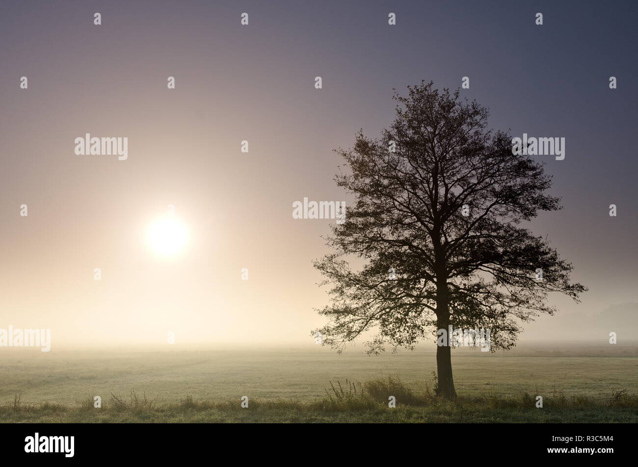 Sun has risen hi-res stock photography and images - Alamy