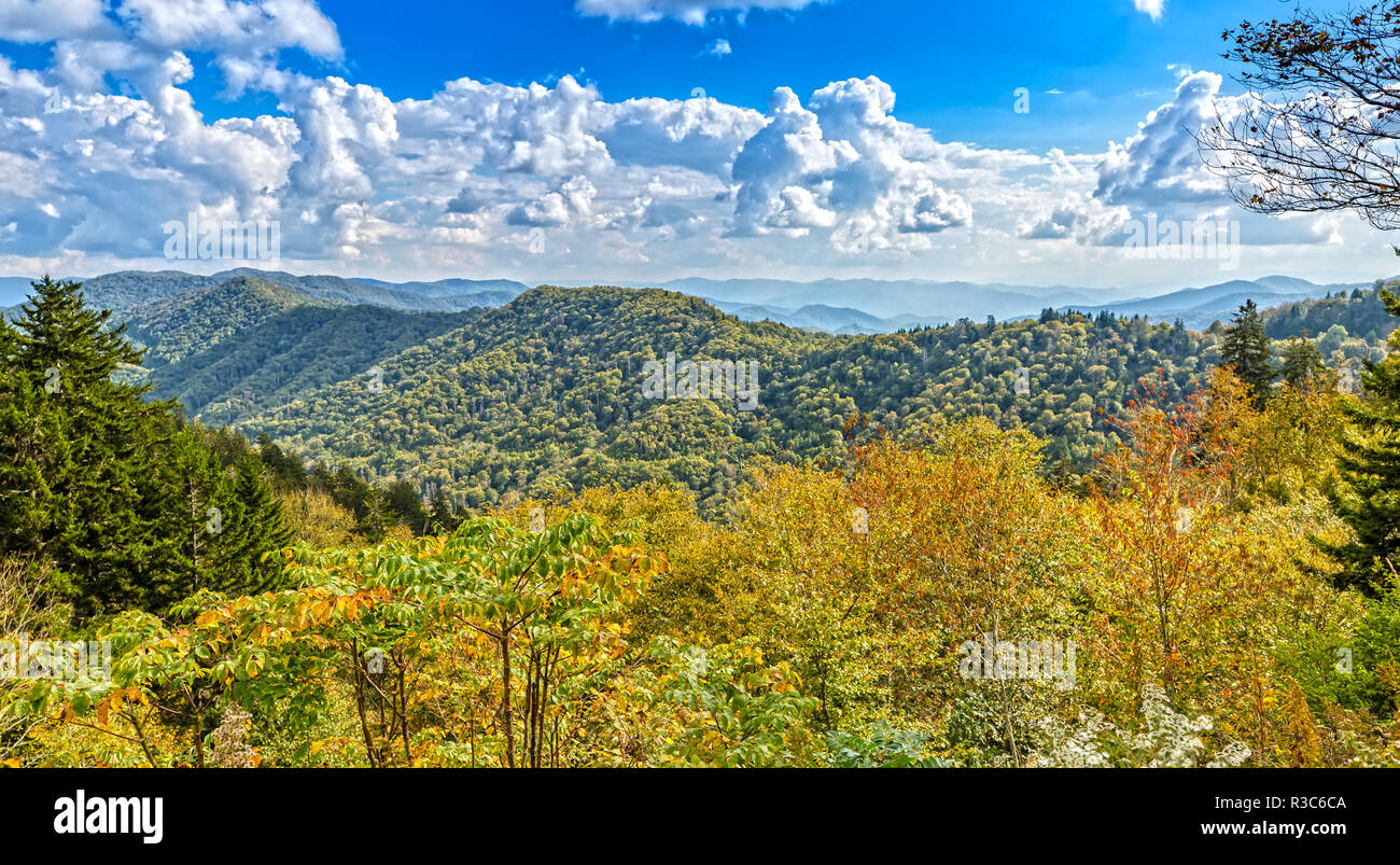 Appalachian wilderness view hi-res stock photography and images - Alamy