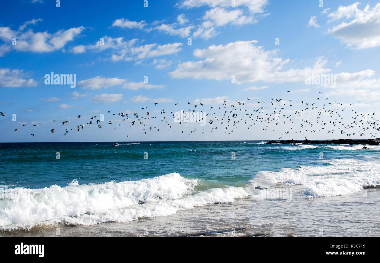 Flying over storm clouds hi-res stock photography and images - Alamy