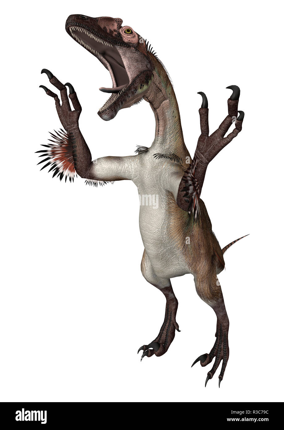Utahraptor teeth hi-res stock photography and images - Alamy
