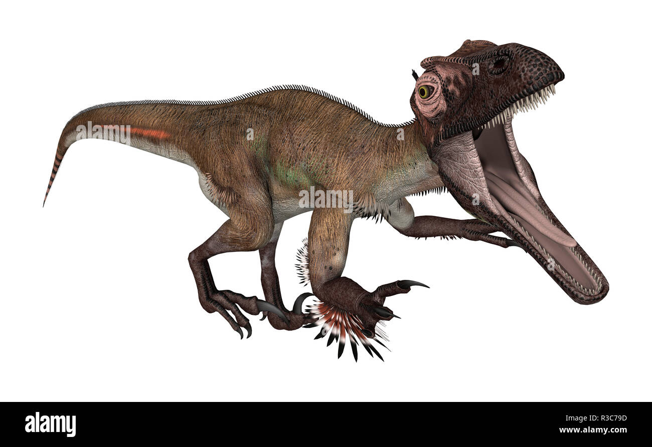 Utahraptor teeth hi-res stock photography and images - Alamy