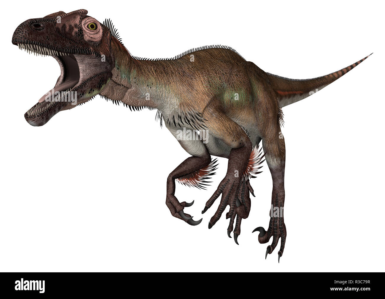 Utahraptor teeth hi-res stock photography and images - Alamy