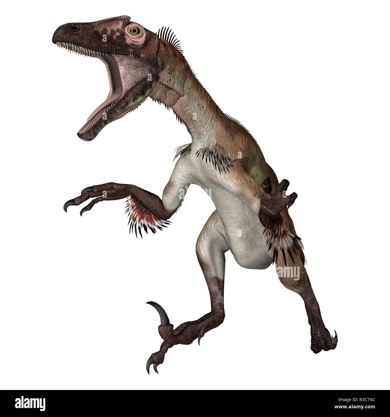 Utahraptor teeth hi-res stock photography and images - Alamy