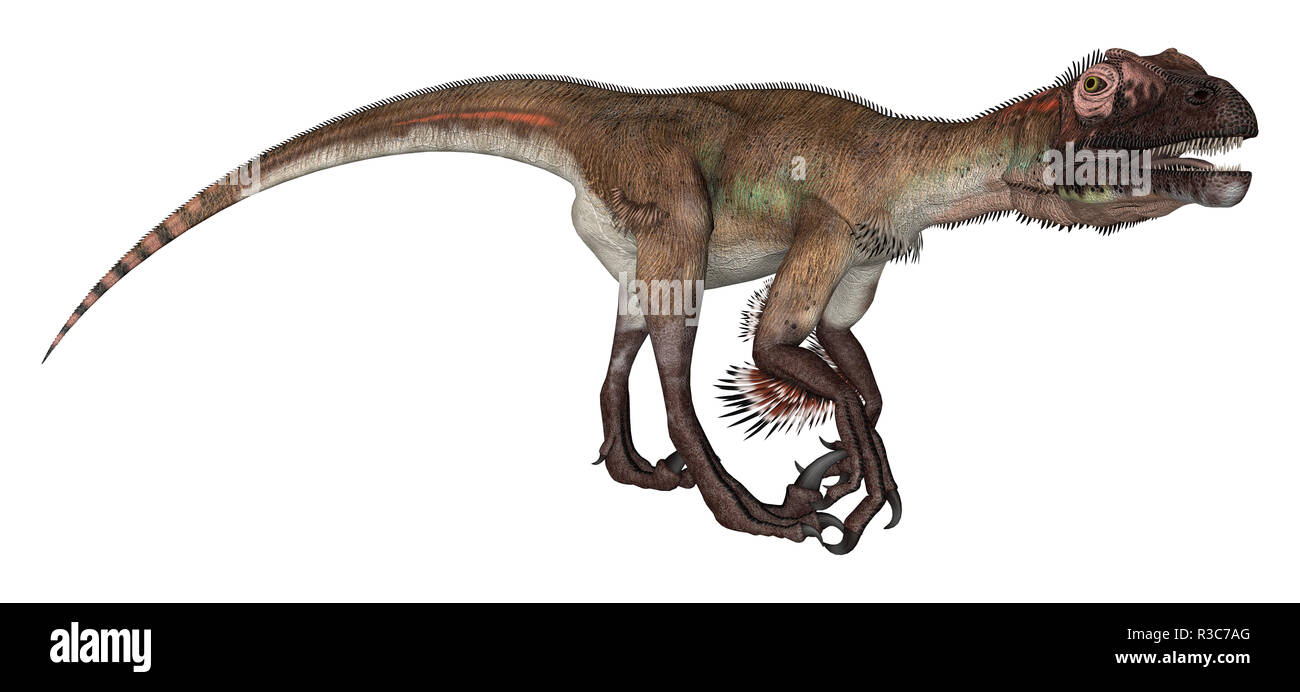 Utahraptor teeth hi-res stock photography and images - Alamy