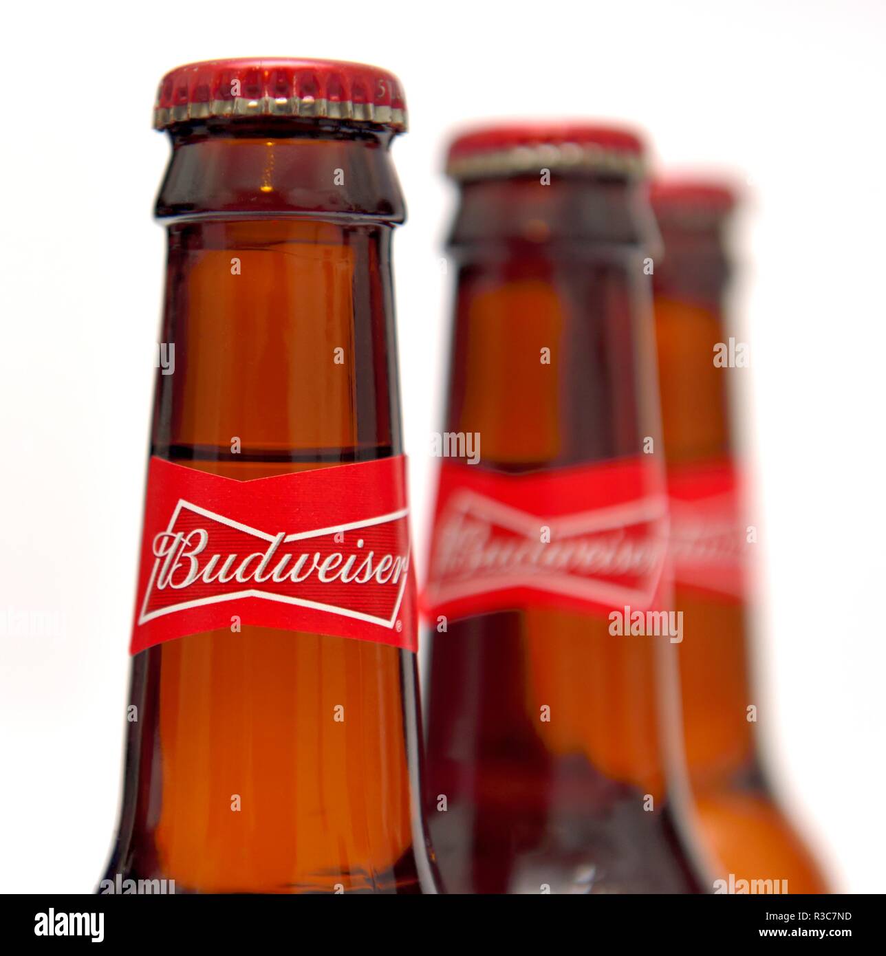 Budweiser beer bottles hi-res stock photography and images - Alamy