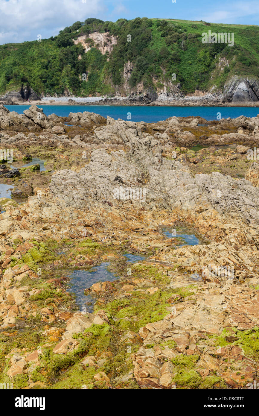 beach of pechon,cantabria,spain Stock Photo - Alamy