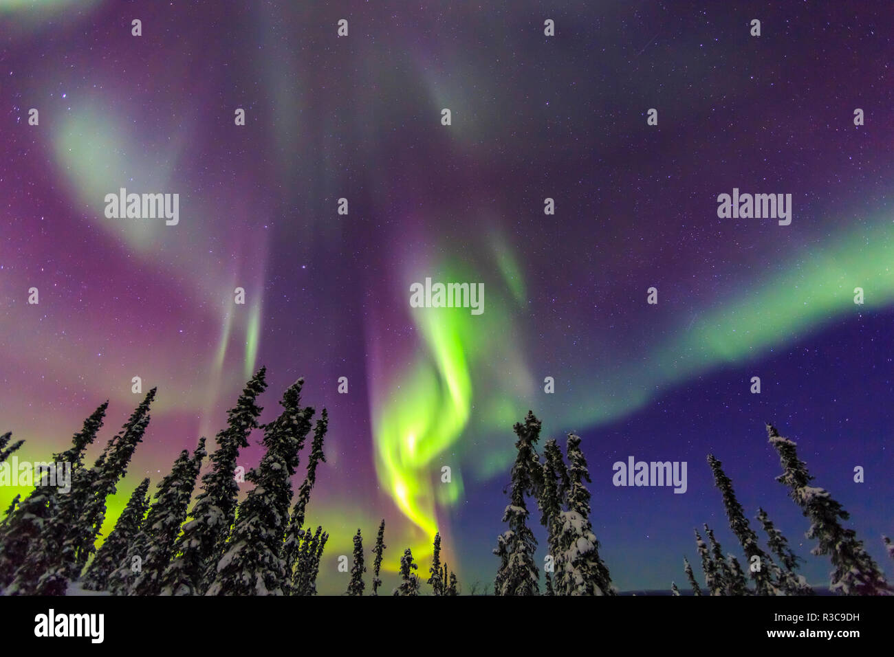 Aurora borealis, Northern Lights, near Fairbanks, Alaska Stock Photo ...