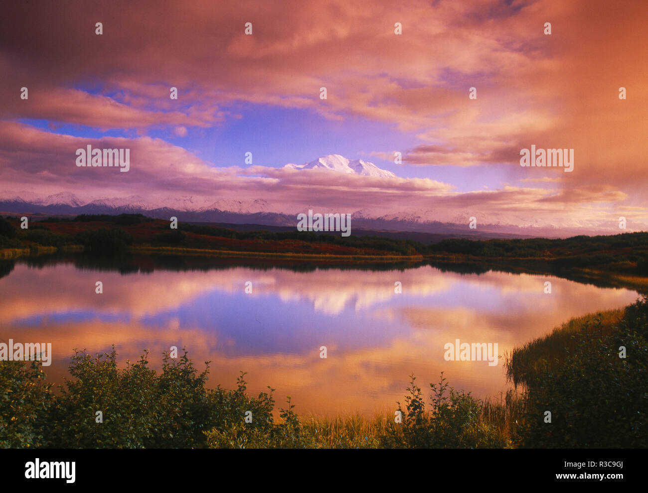 Mt mckinley denali national park alaska hi-res stock photography and ...