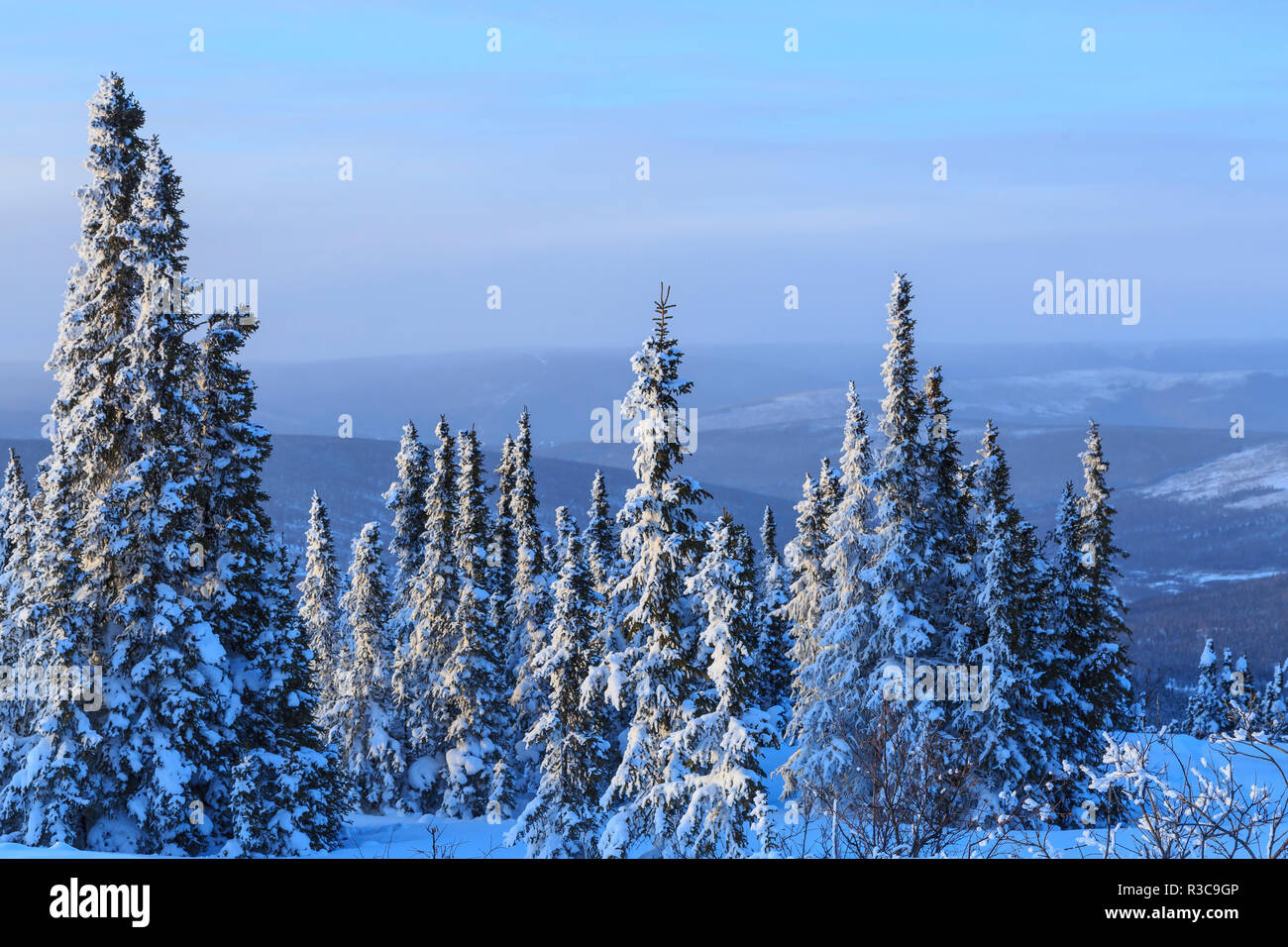Snow scene near Fairbanks, Alaska, USA Stock Photo - Alamy