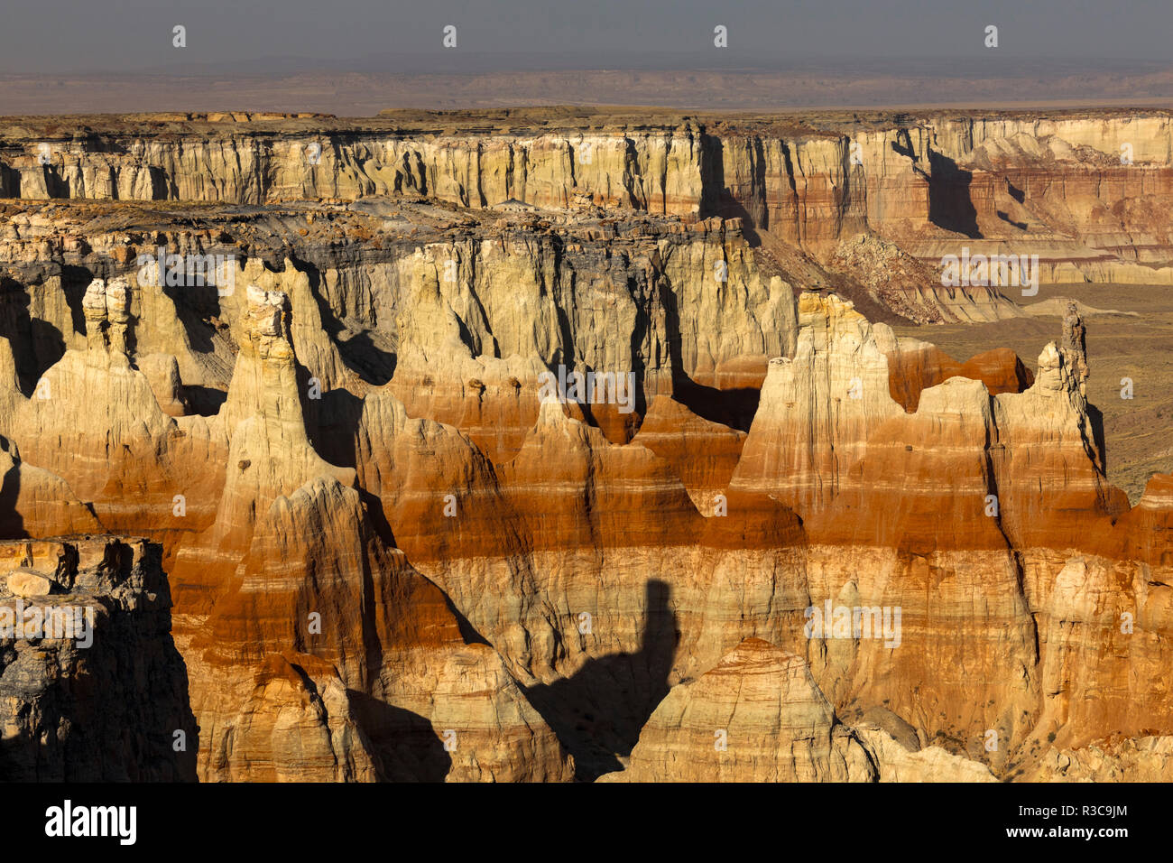 Coal Mine Canyon near Tuba City, Arizona, part of the Moenkopi Wash ...