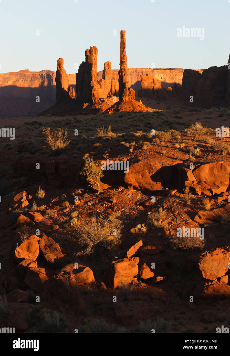 Totem column hi-res stock photography and images - Alamy