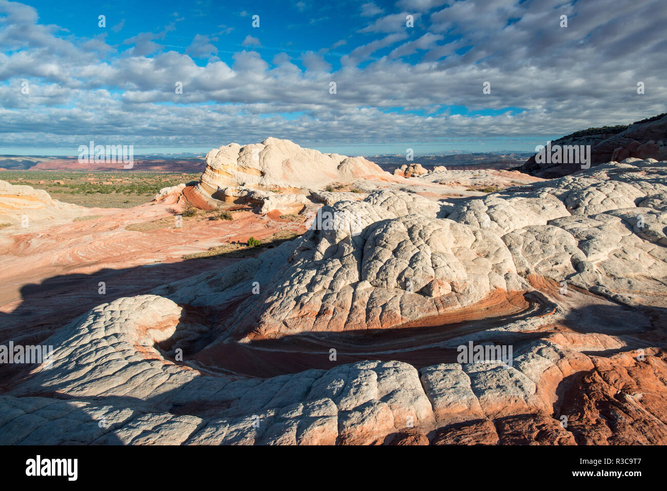 Textured Sandstone Landscape, Vermillion Cliffs, White Pockets ...