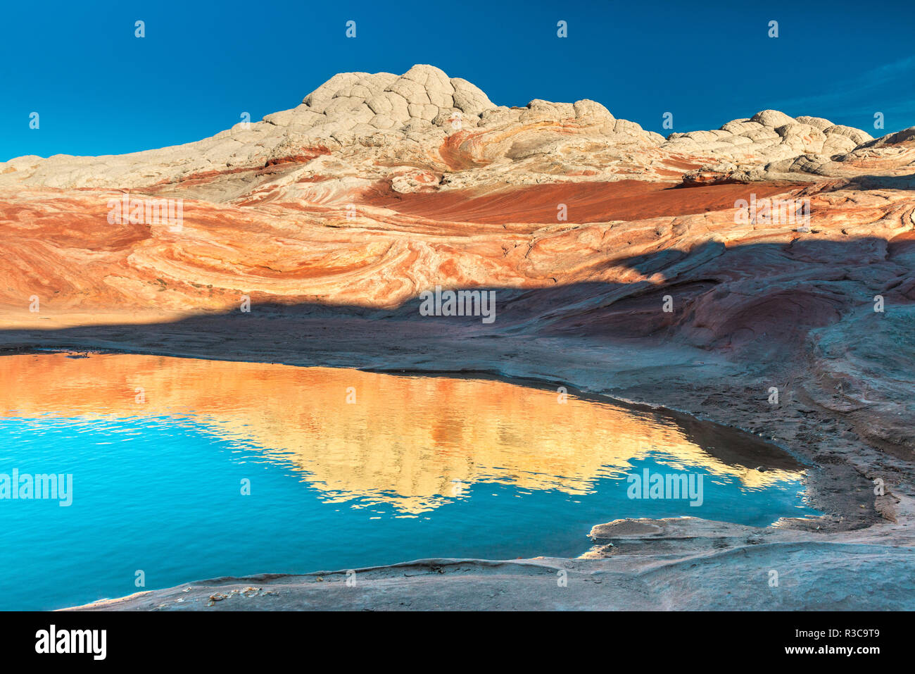Pool Reflection and Sandstone Landscape, Vermillion Cliffs, White ...