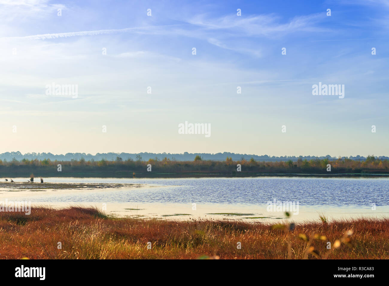 the moorland in the autumn Stock Photo - Alamy