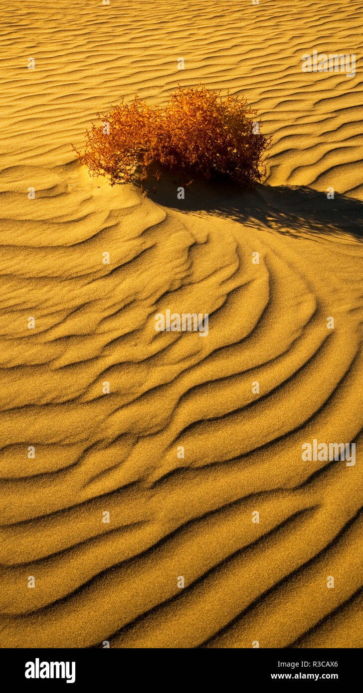 Ripple design hi-res stock photography and images - Alamy
