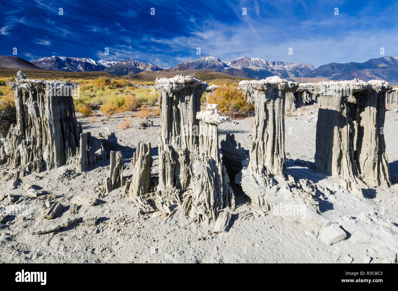 Sand tufa formations on the south shore of Mono Lake, Mono Basin ...