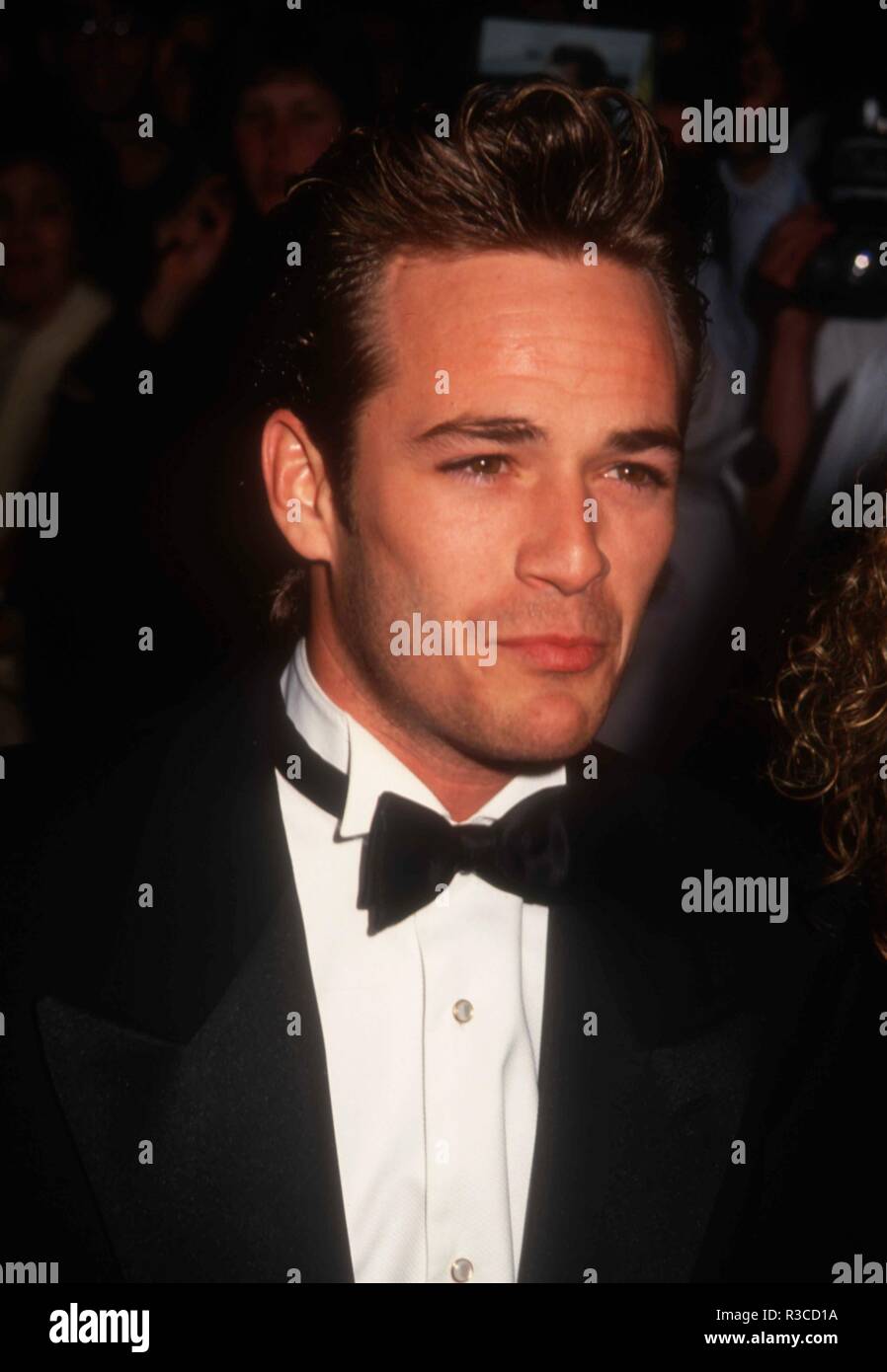 BEVERLY HILLS, CA - JANUARY 30: Actor Luke Perry attends the American ...