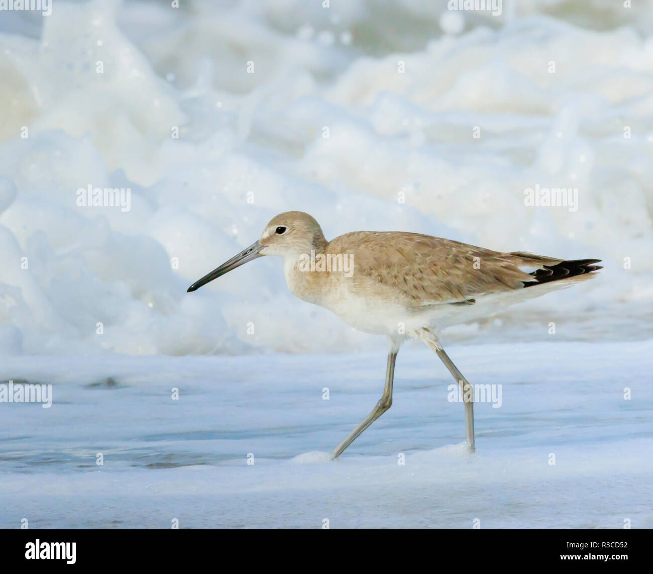 William willet hi-res stock photography and images - Alamy