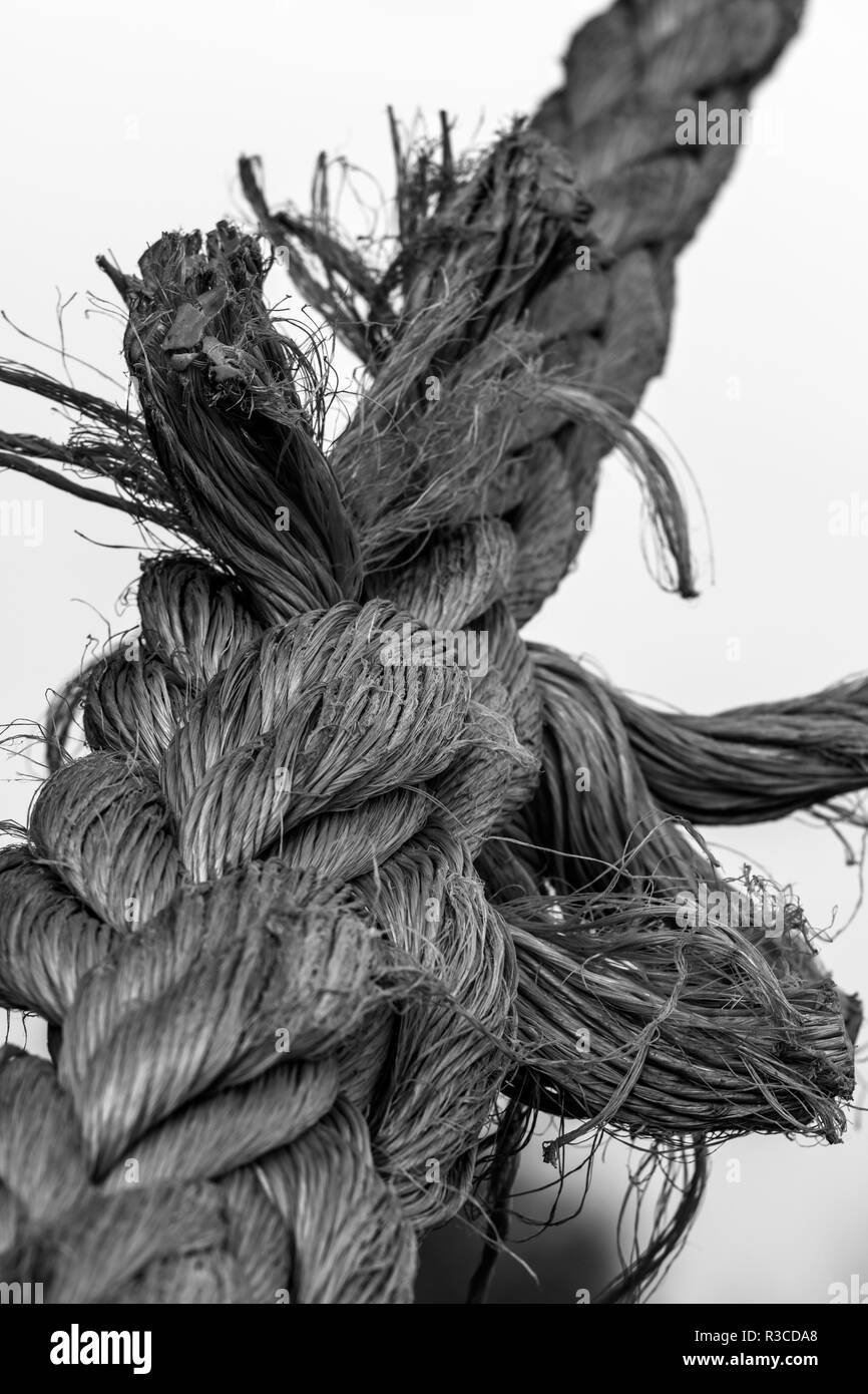 Schiffstau hi-res stock photography and images - Alamy