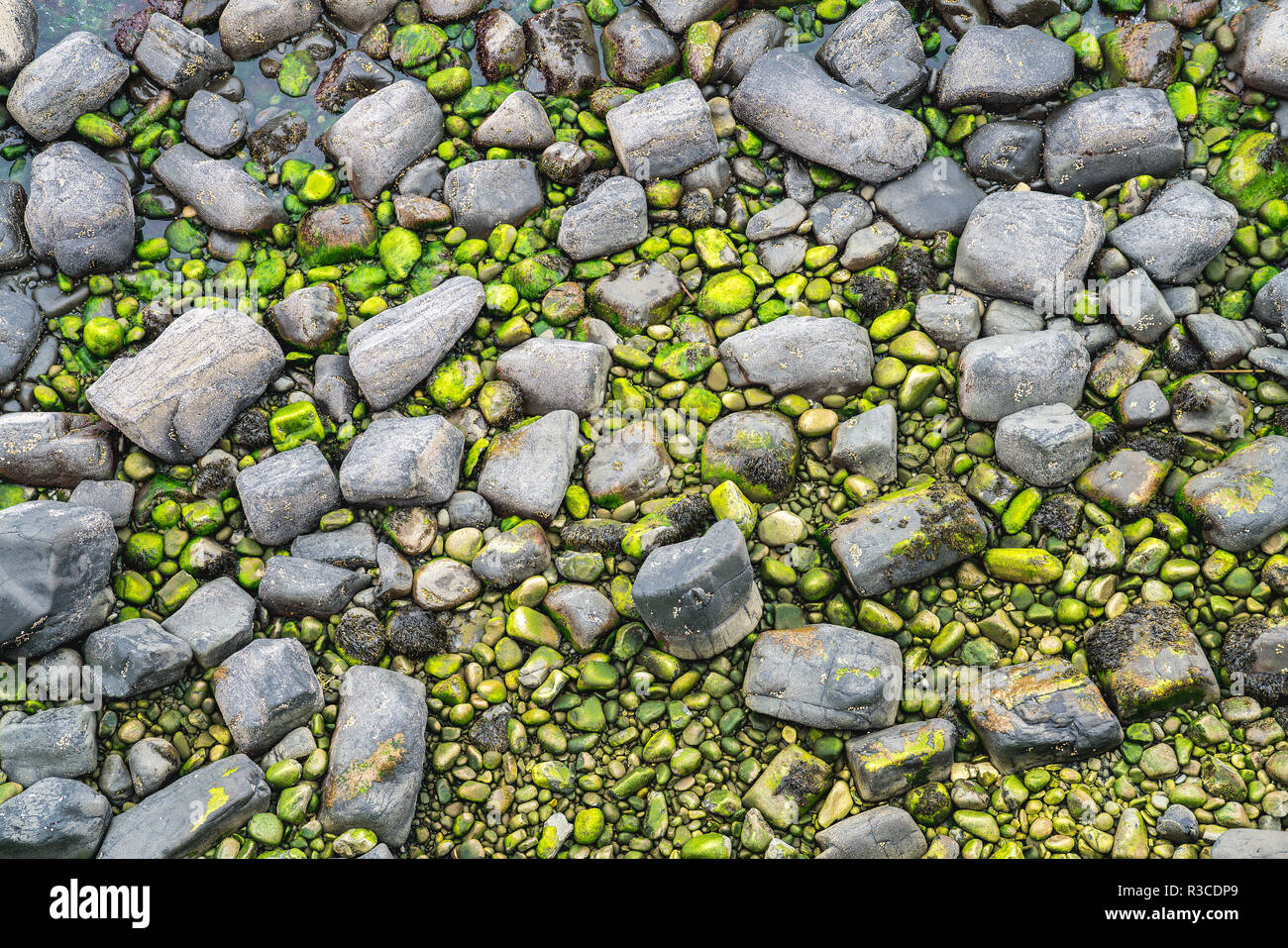 Green stones in water near Kilt Rock, Scotland, UK Stock Photo - Alamy
