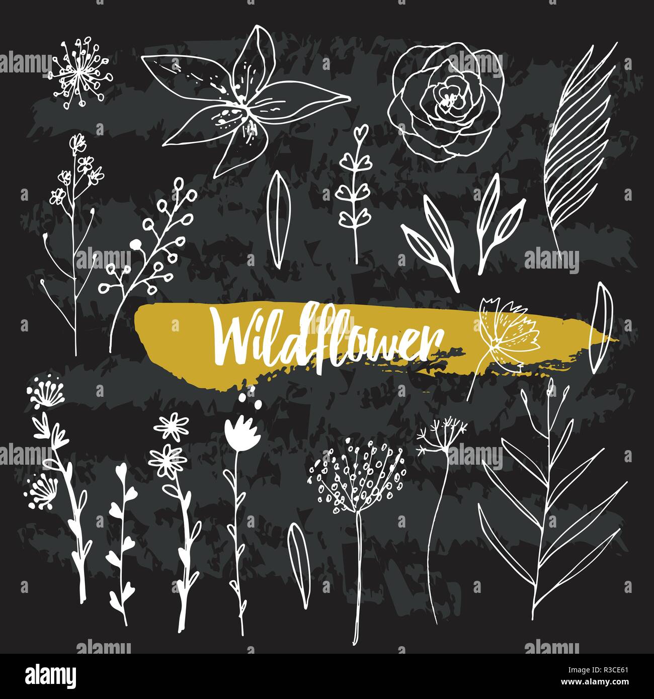Wild flowers garden Stock Vector Images - Alamy