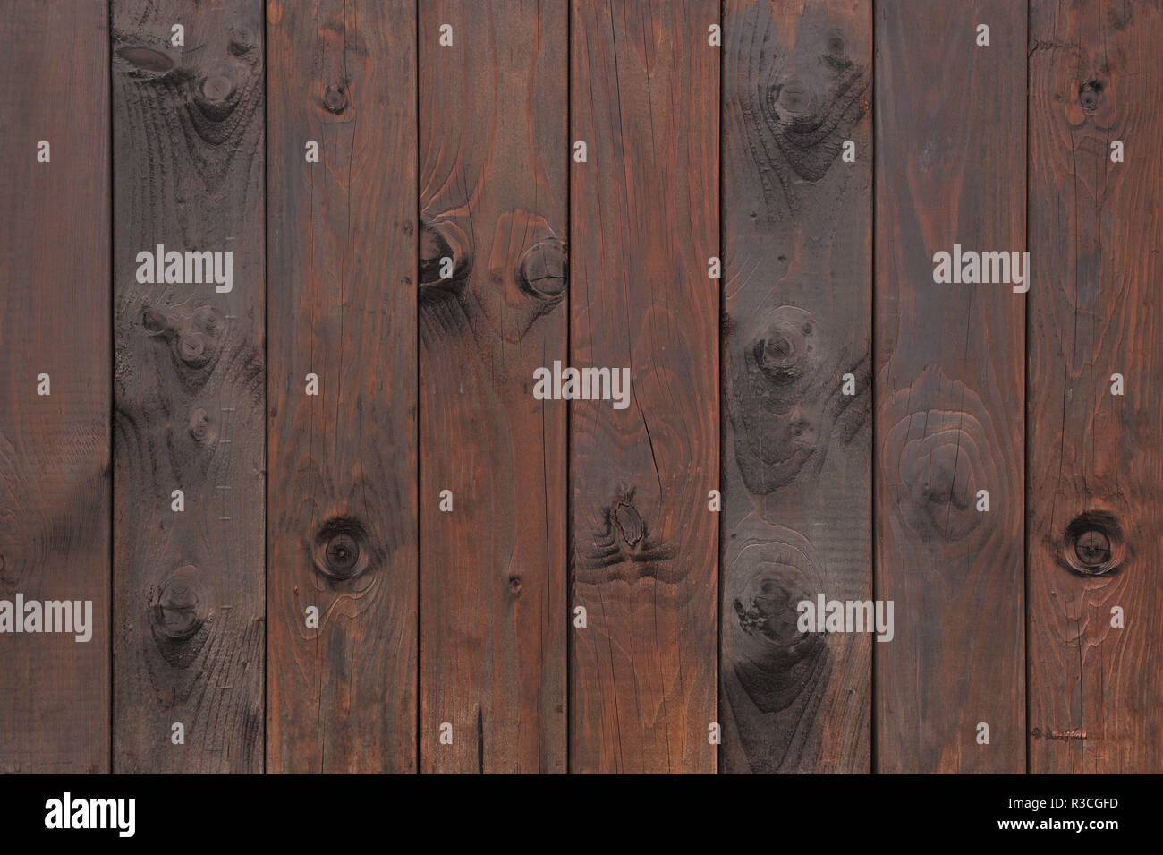 Mooreiche hi-res stock photography and images - Alamy