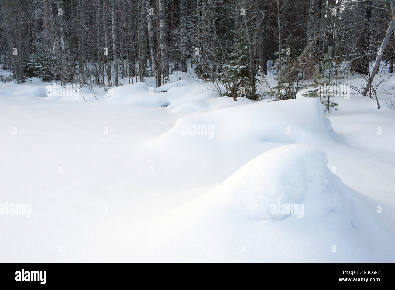 Snowdrift, wind sculpted patterns on snow surface Stock Photo - Alamy
