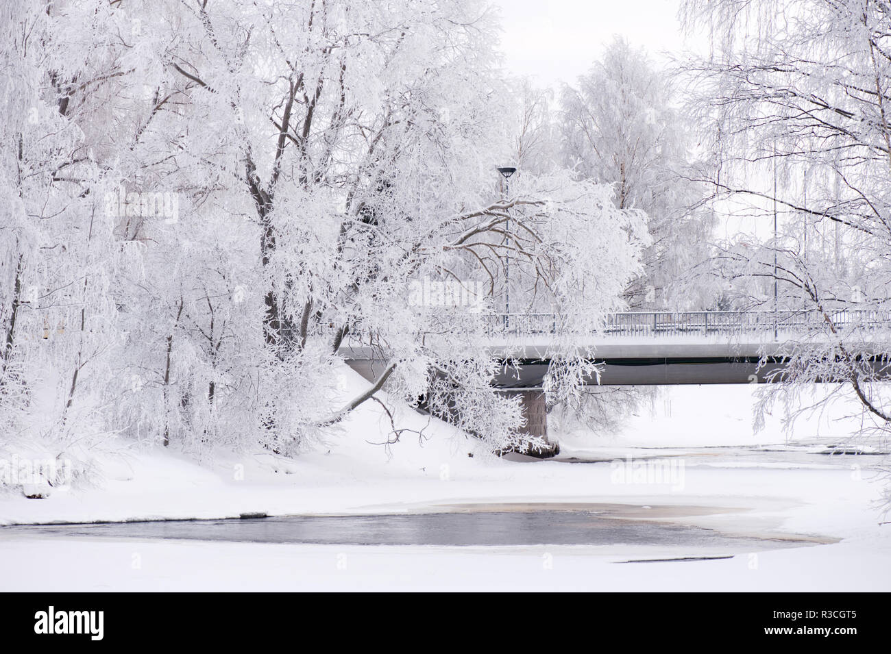 Winter scenery with snow covered trees on riverbank and bridge over ...
