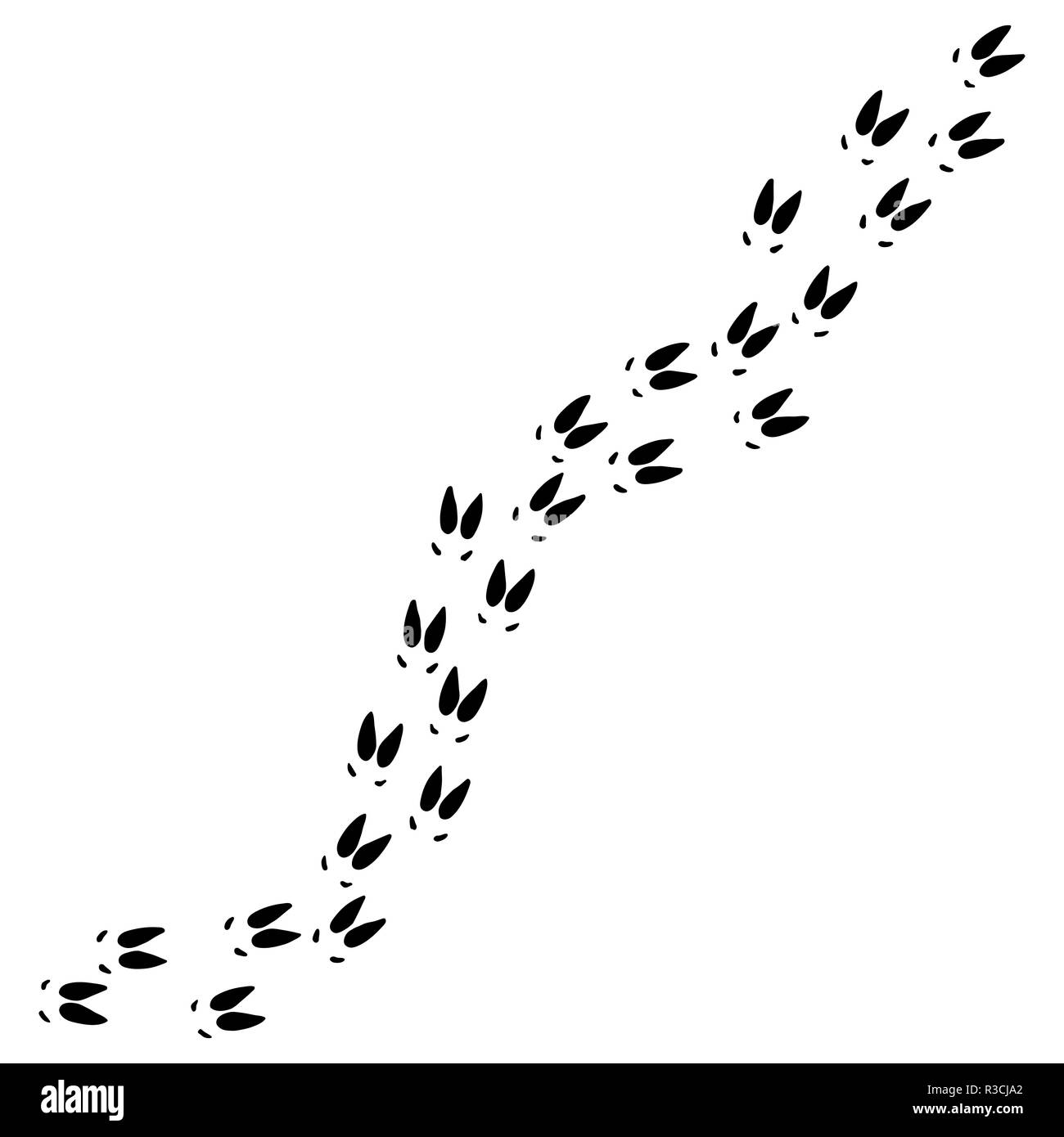 Elk foot prints. Vector illustration. Wild animal footprint Stock ...