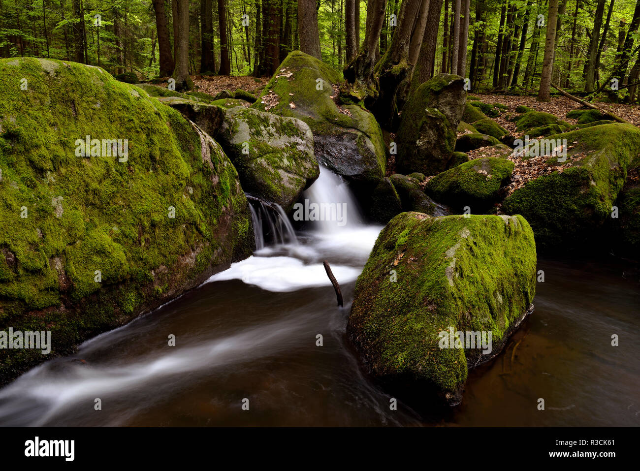 Live waterfall hi-res stock photography and images - Alamy