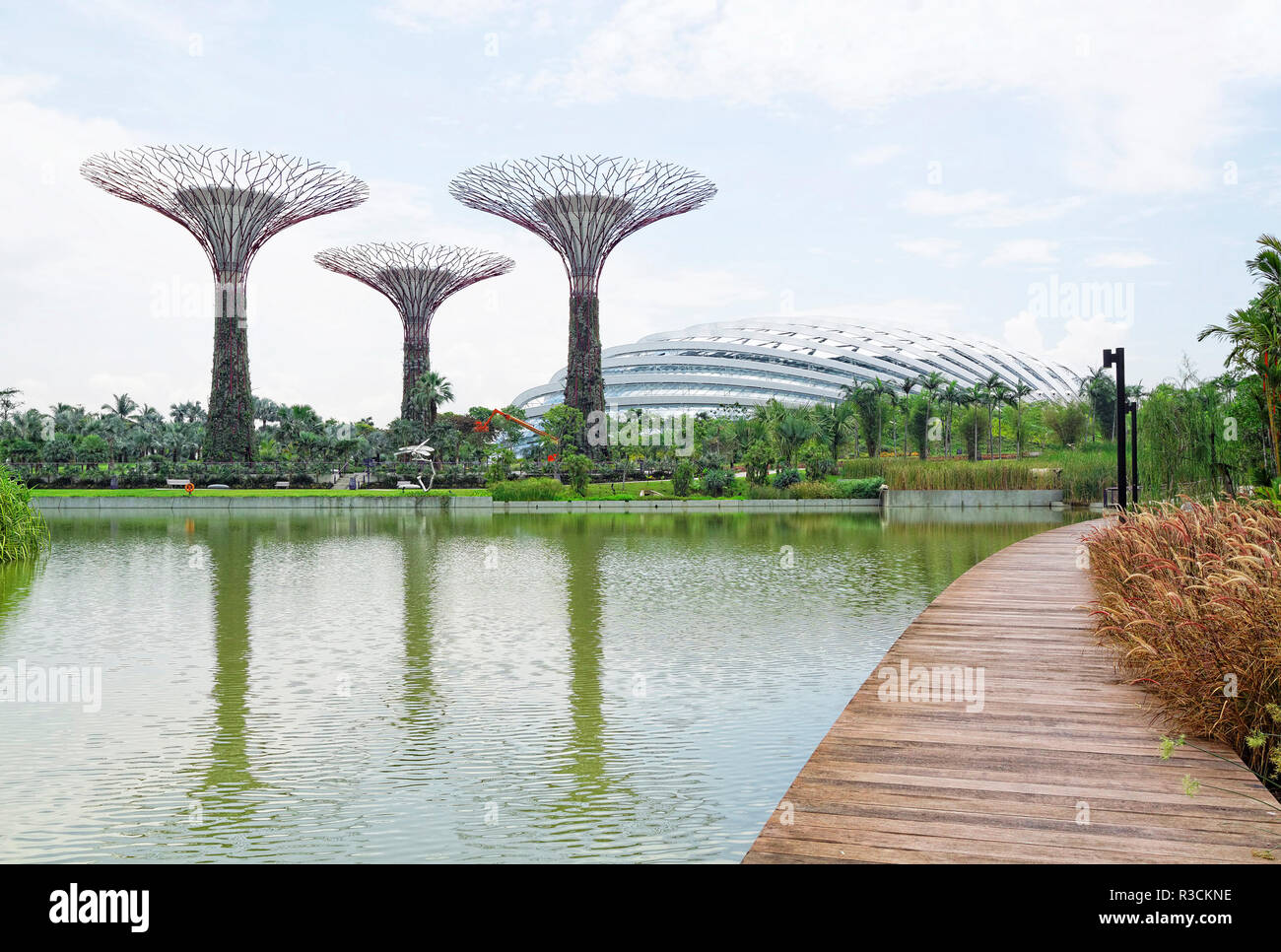 Modern modernity perspective plants hi-res stock photography and images ...