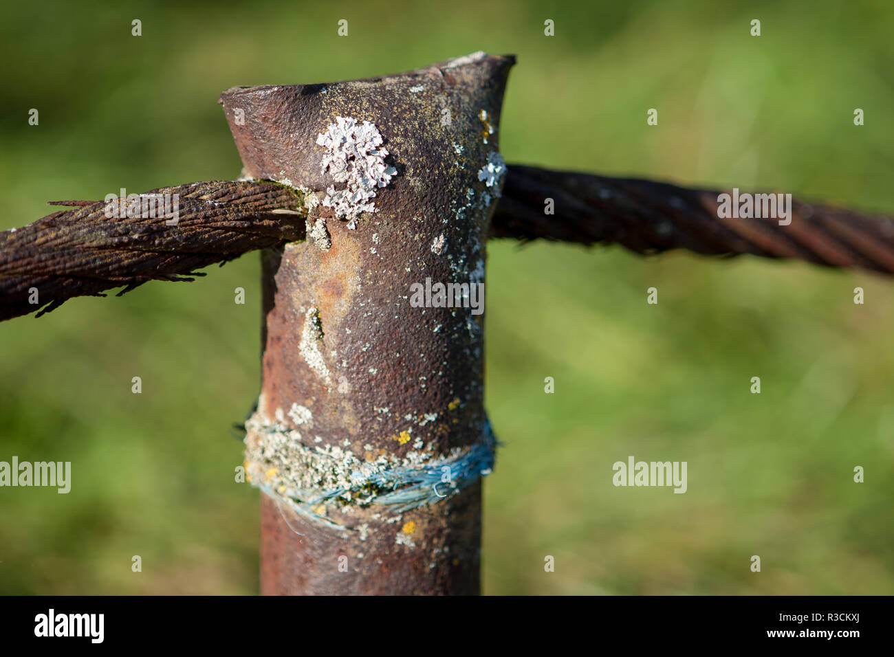 Stahlzaun hi-res stock photography and images - Alamy